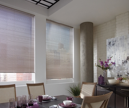 Dining Room Windows Gallery | Gotcha Covered